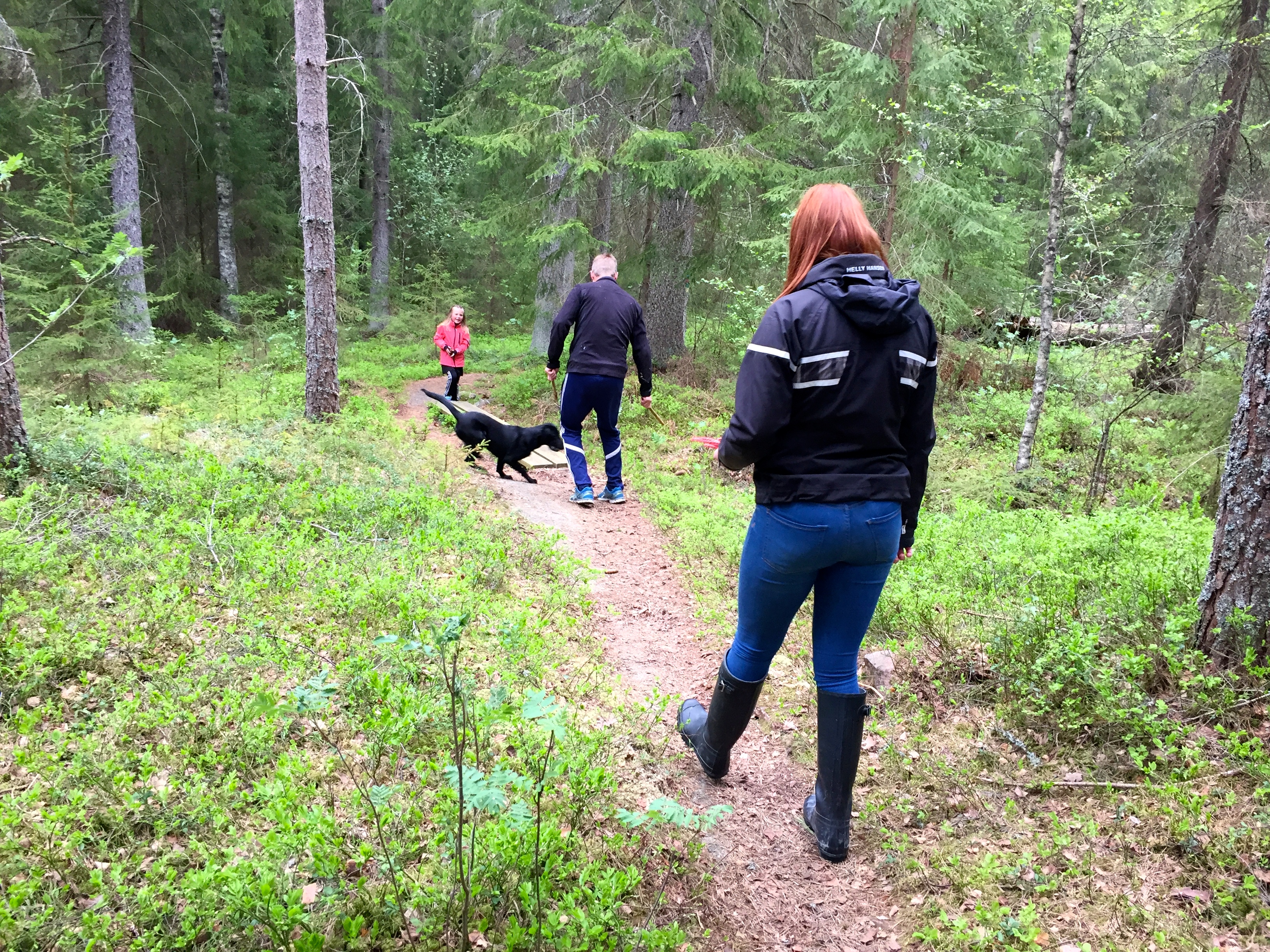 Säffle – Vandra på Duse Udde